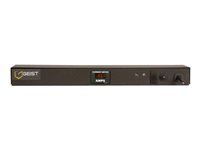 Geist Metered Standard BRFAN100-10 - power distribution unit - 1.4 kW