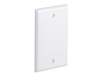 Panduit faceplate blank cover