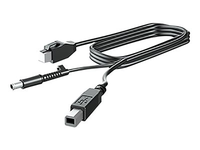 HP DisplayPort cable - 10 ft