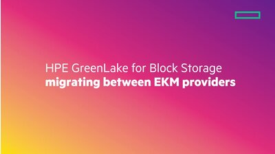 HPE 256GB 8-core Block Controller Node - storage controller