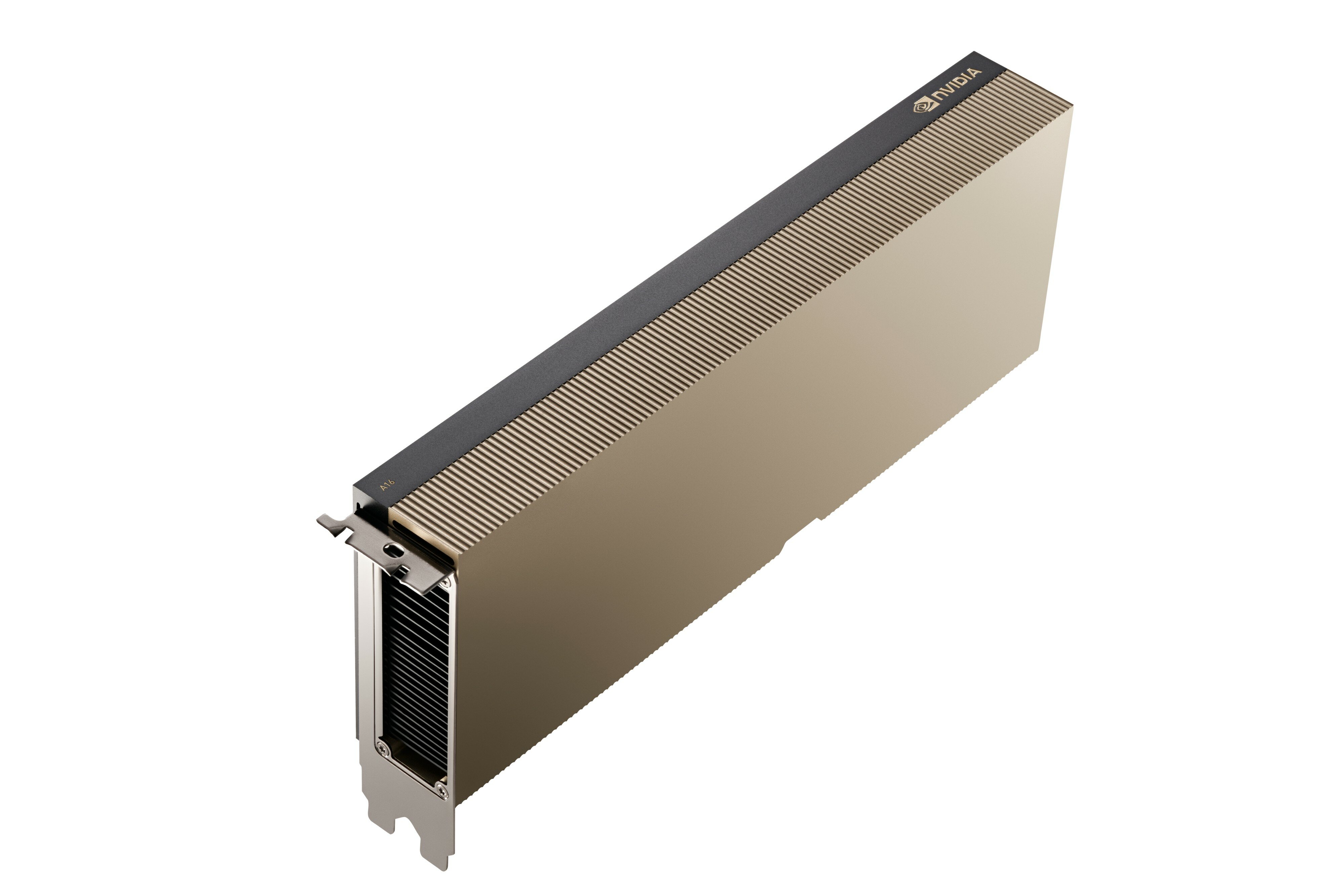 NVIDIA A16 - GPU computing processor - A16 - 64 GB