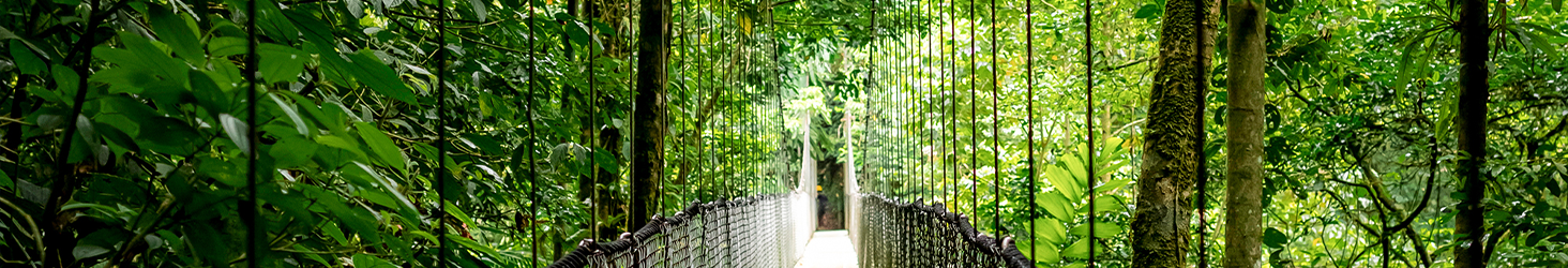 HP EliteBook X Flip G1i Notebook Next Gen AI - Flip design - Intel Core ...