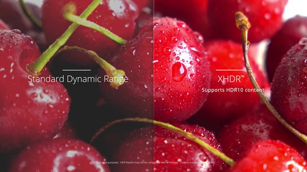 VIZIO 55" Class 4K (2160P) Smart XLED Home Theater Display (E55-E1/E2 ...