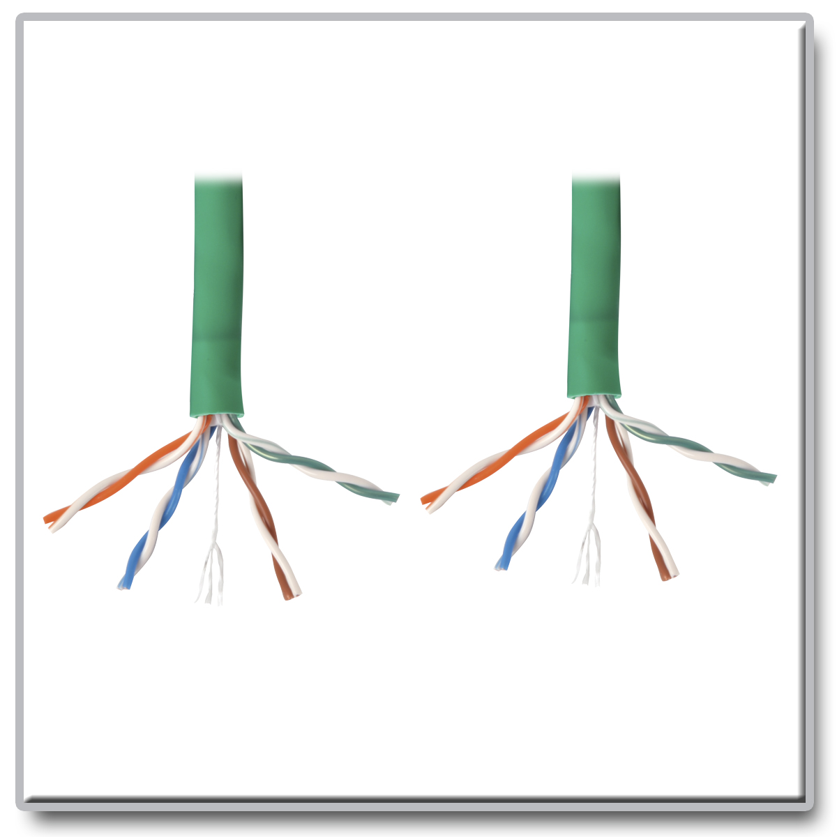 Tripp Lite 1000ft Cat6 Gigabit Bulk Cable Solid CMP Plenum PVC Green 1000' - bulk cable - TAA ...