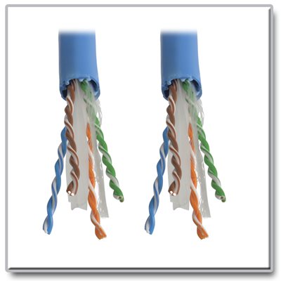 Tripp Lite 1000FT PVC CMR CAT 6 SOLID UTP BULK CABLE BLUE 1000' - bulk ...