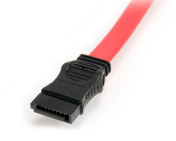 StarTech.com 12in Slimline SATA to SATA with LP4 Power Cable Adapter