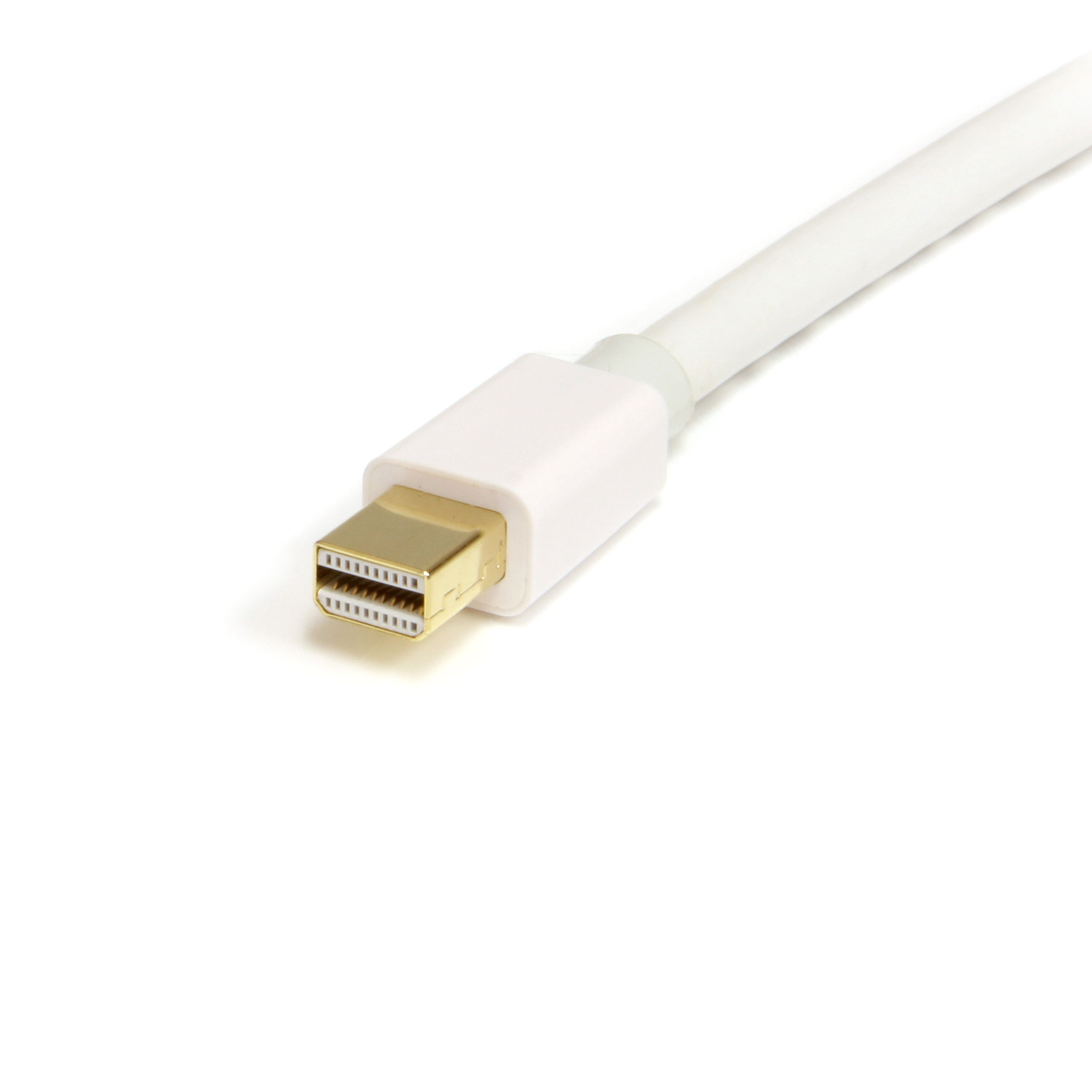 StarTech.com Câble adaptateur Mini DisplayPort vers DisplayPort 1.2 1m - Cordon Mini DP à DP ...
