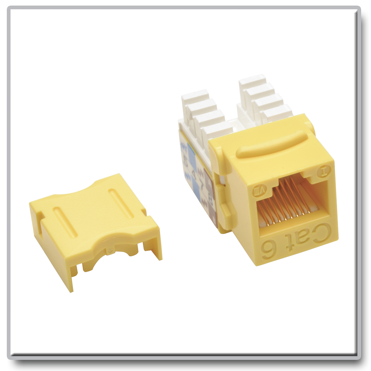 Tripp Lite Cat6/Cat5e 110 Punch Down Keystone Jack - modular insert