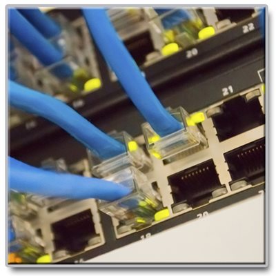 Tripp Lite Cat6 RJ45 Modular Plug for Round Stranded UTP Conductor 4 ...