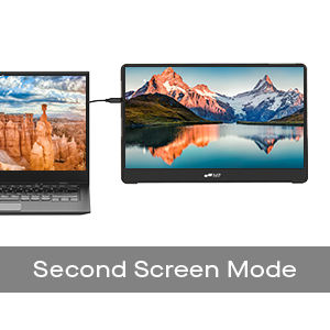 Mobile Pixels 16" HD Oled Monitor