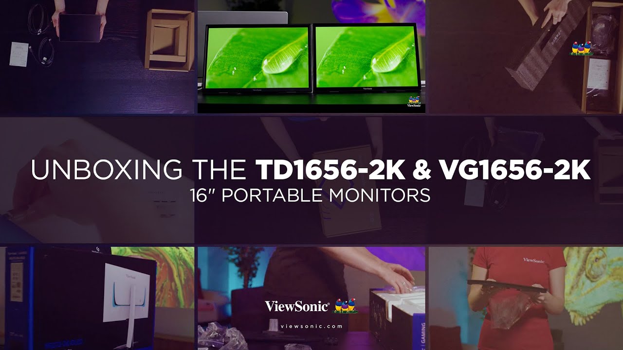 Viewsonic 16-inch portable WQXGA IPS touch monitor - 2560 x 1600 - 60Hz