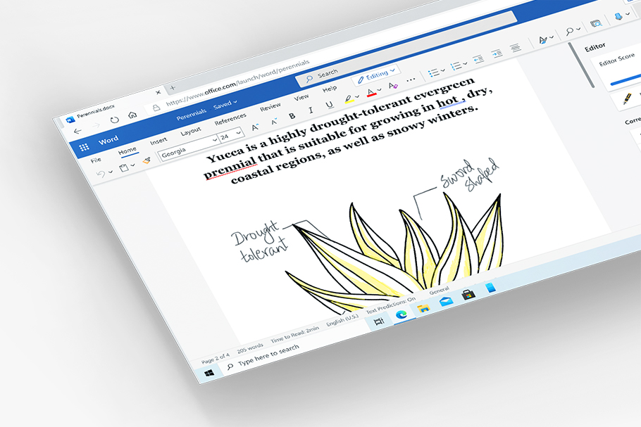 Download Microsoft 365 Personal - 1 Year Subscription with AutoRenewal ...