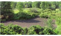 Evolved Harvest 5 Card Draw Food Plot Seed, 10 lb Bag - Walmart.com