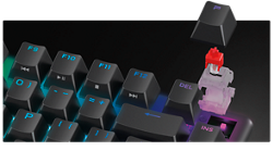 Alienware Pro Wireless Gaming Keyboard - Keyboard - 75% - compact TKL ...