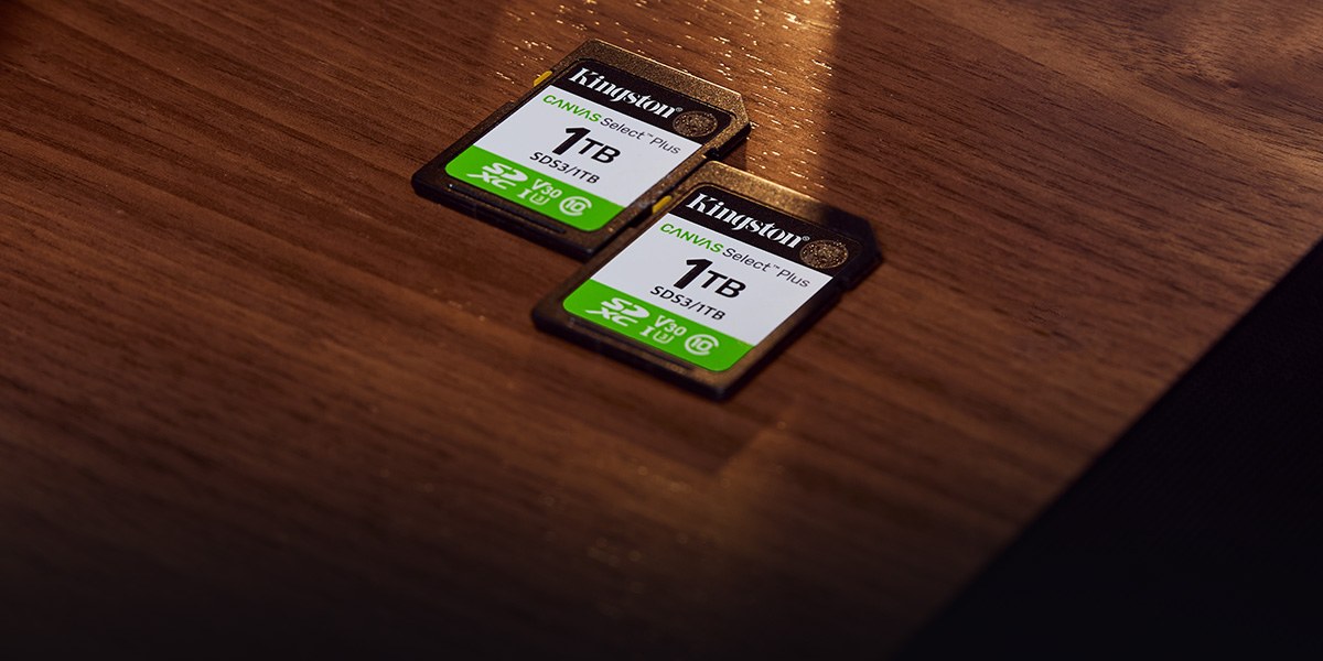 Kingston Canvas Select Plus - Flash memory card - 64 GB - Video Class ...