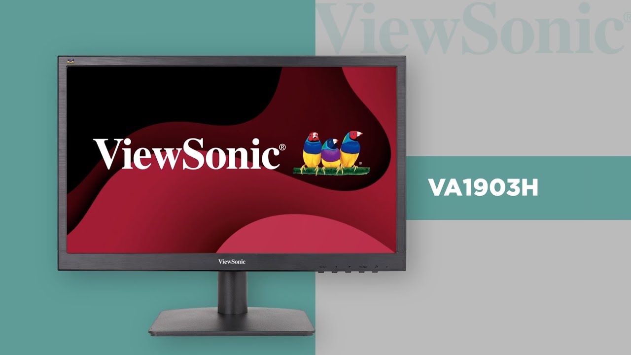 ViewSonic VA1903h - LED monitor - 19"