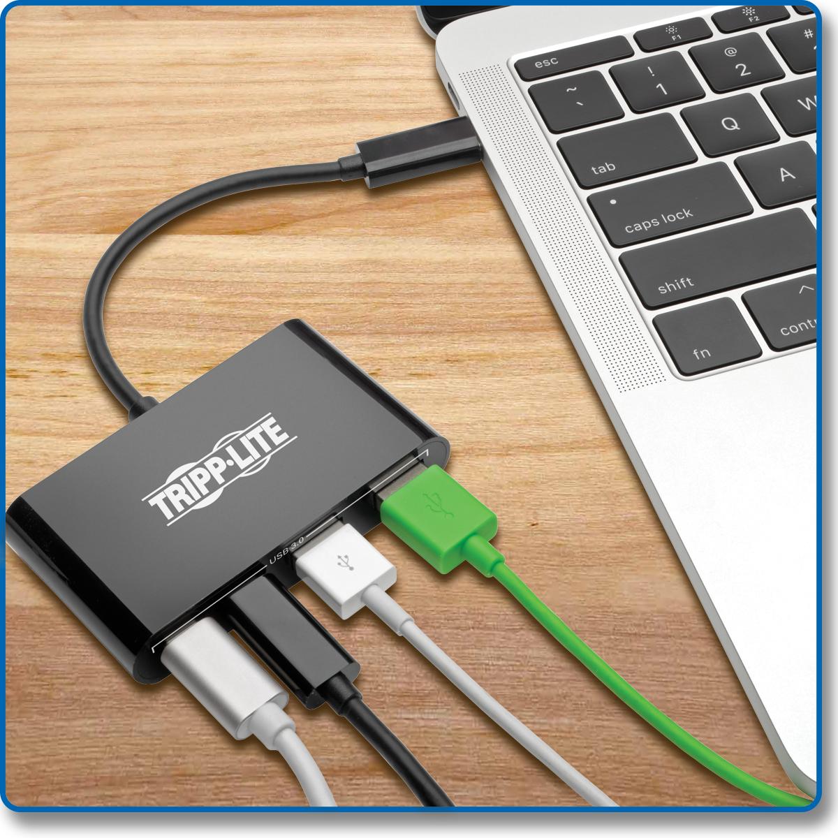 Tripp Lite USB 3.1 Gen 1 USB C Portable Hub with 2 USB Type C Ports and ...