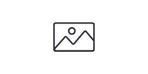 Sony SRG-A12 - conference camera - turret