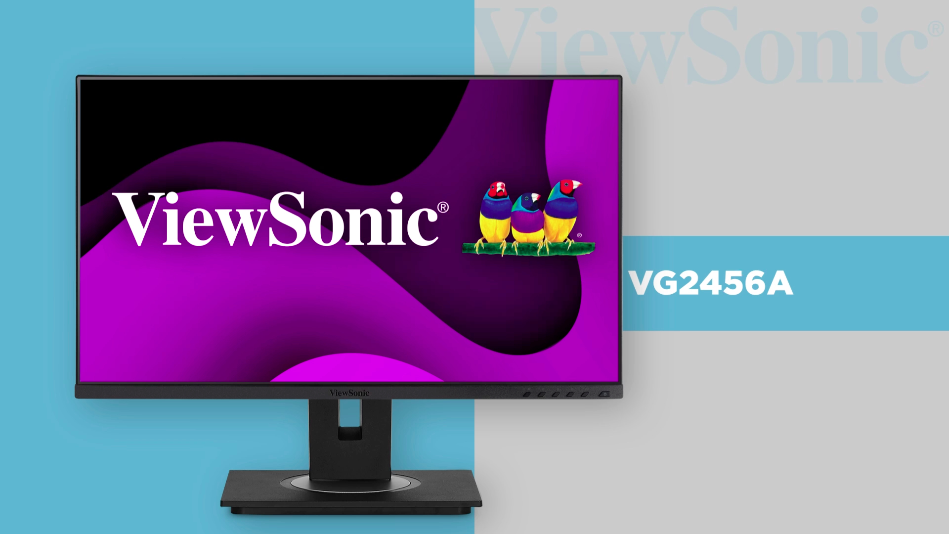 ViewSonic VG2456A - LED monitor - Full HD (1080p) - 24"