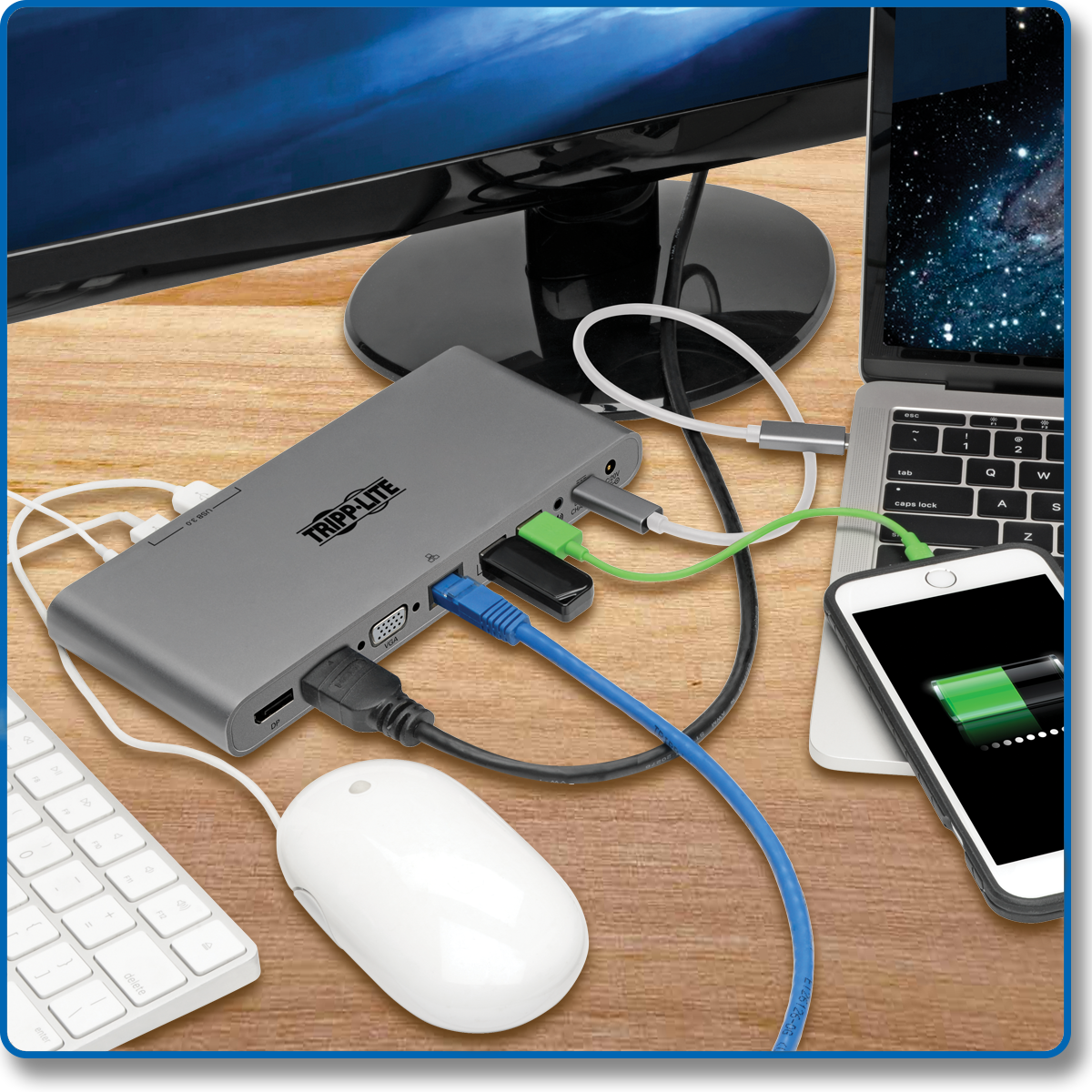 Tripp Lite USB C Docking Station w/ USB-Hub, USB-A/C, HDMI, VGA, DP ...