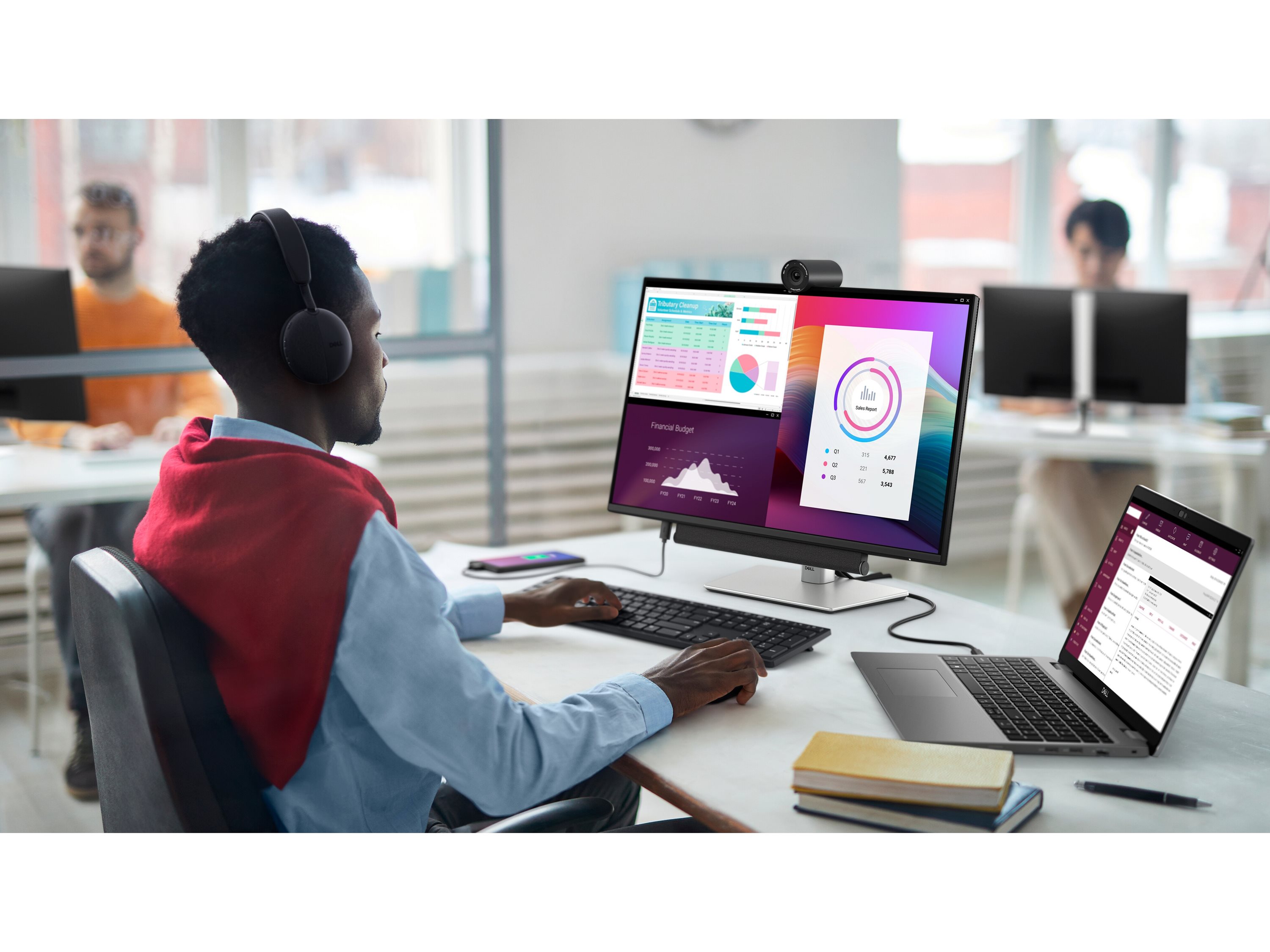 Dell P2425 - LED monitor - 24"