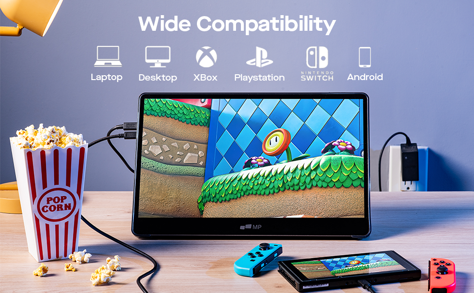 Mobile Pixels 16" HD Oled Monitor